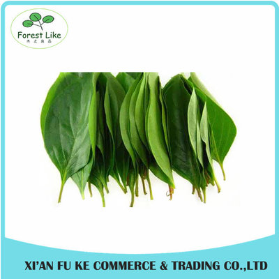 Natural Persimmon Leaf Extract Powder 10:1 20:1 supplier