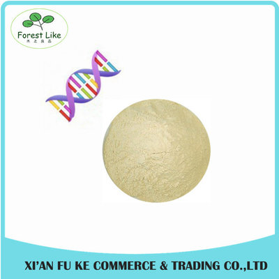 Excellent Quality Acid Proteinase / Acidic Protease Powder supplier