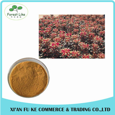 Best Price Food Color Natural Amaranth Pigment Red supplier