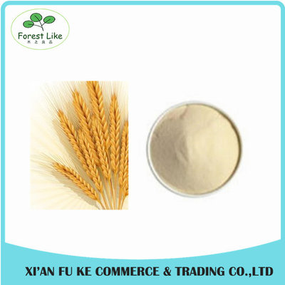 Wheat Protein / Wheat Gluten Extract Powder Protein 80% supplier