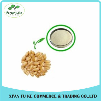 Wheat Protein / Wheat Gluten Extract Powder Protein 80% supplier