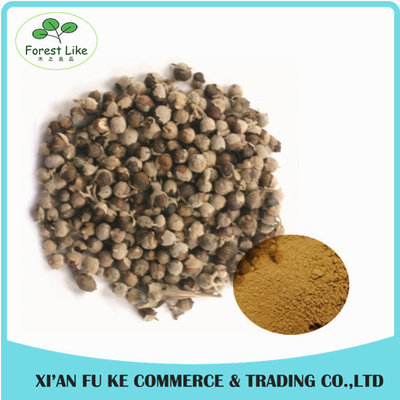 100% Natural Chaste Tree / Fructus Viticis Extract Powder supplier
