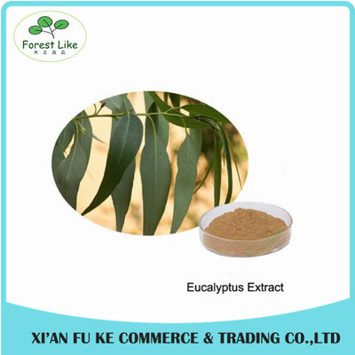 Pure Natural Eucalyptus Leaf Extract Powder 10:1 20:1 supplier