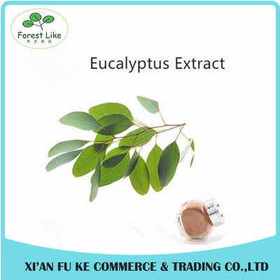 Pure Natural Eucalyptus Leaf Extract Powder 10:1 20:1 supplier