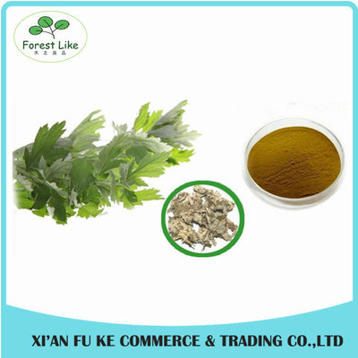 Chinese Herb Extract Mugwort Leaf Extract 5:1- 20:1 supplier