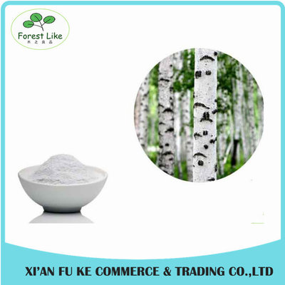 Factory Supply 98% Betulin Powder White Birch Bark Extract supplier