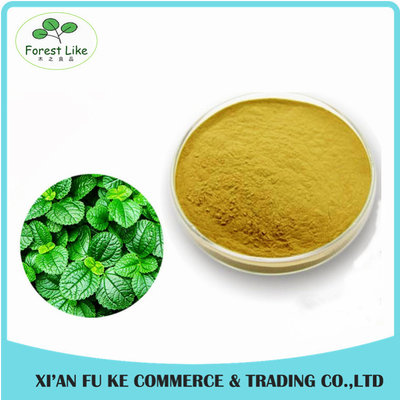 Peppermint / Mentha Haplocalyx Leaf Extract Menthol supplier