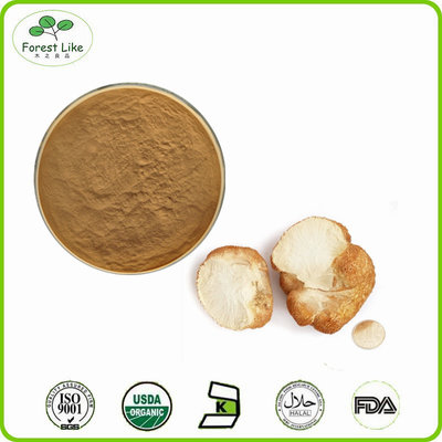 Hot Selling Dried Reishi Mushroom Extract Ganoderma supplier
