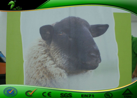 Waterproof Roll Up Display Banners / Outside PP Scrolling Banner Stand