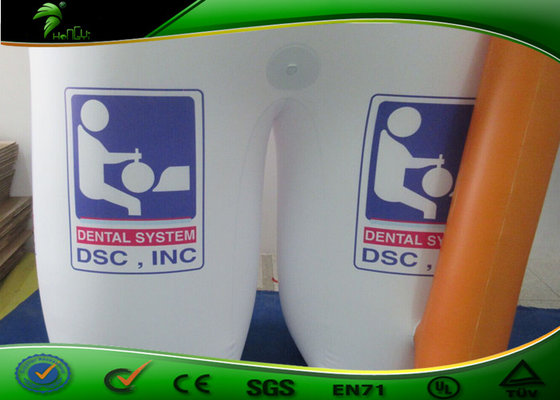 Customized Inflatable Advertising Products, Inflatable Tooth For Promotion
