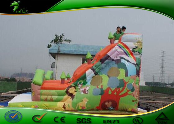 PVC Material Inflatable Bouncy Castle Slide Inflatable Water Slide Pool For Kids