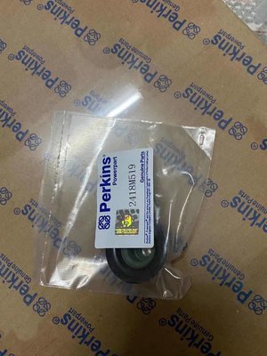 Perkins 1104C-44T, 1104C-E44TA, 1104C-44TA Diesel Valve Seal, 2418M519 with high quality