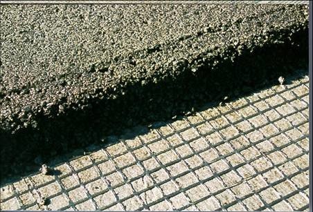 Corrosion Resistance Asphalt Reinforcement Geogrid , Mining Ground Reinforcement Mesh
