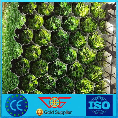 Green Grass Protection Paver / Plastic Driveway Paver / Plastic Grass Pavers