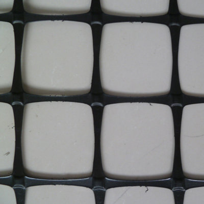Biaxial / Bia - Direction Plastic Retaining Wall Geogrid For Retaining Wall Project