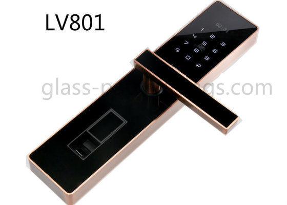 High Strength SS Fingerprint Door Lock DC 6V Power Supply Dynamic Current ≤200mA