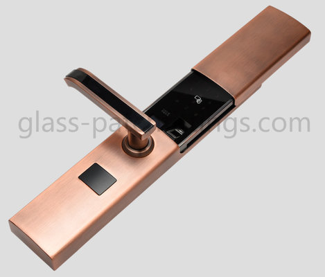 High Grade Fingerprint Entry Door Lock DC 4.8V - 6.8V Power With Sliding Closure