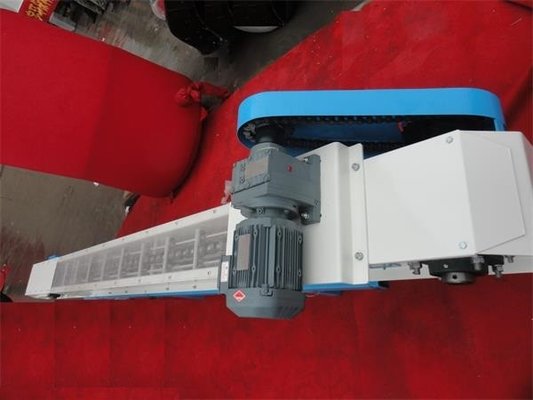 Chain Conveyor