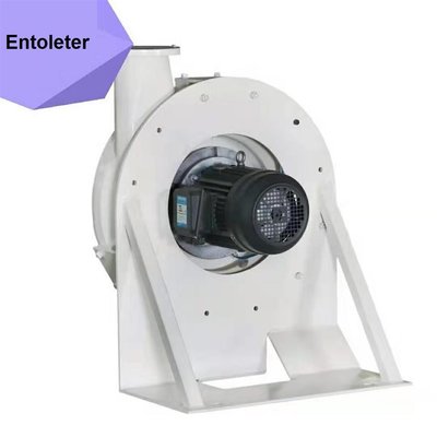 Best Quality Impact Machine Entoleter to kill insects and their eggs in rice flour and wheat flour
