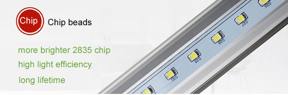 950LM Split Type T8 LED Tubes High Power Factor 600mm for OEM