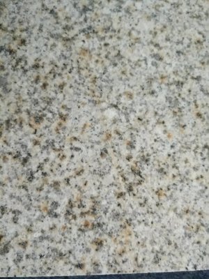 Natural G682 Galaxy White Granite Countertops Unique Design Eco - Friendly