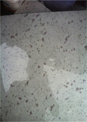 Decorative Granite Stone Slabs / Solid White Granite Countertops