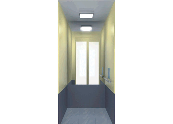 ISO1400 Home Lift MAX- H320- 2S0.4 Model with mirror decoration in the car