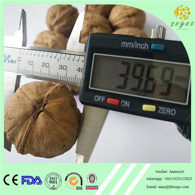 Easy Cracked Walnut Inshell 28mm Up