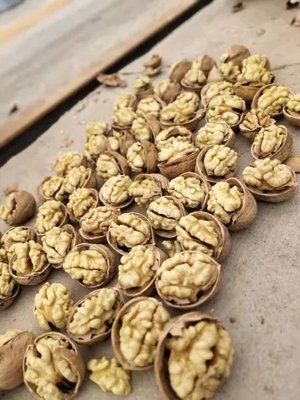 Walnut Inshell