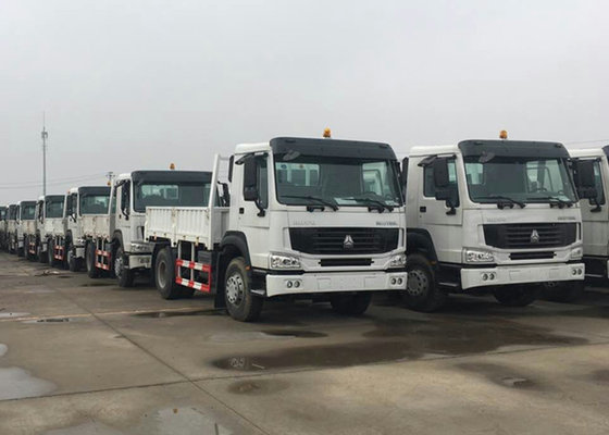 6 caminhão das rodas 4x2 Dropside, caminhões resistentes do pneu de Sinotruk HOWO 295R22.5