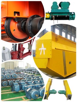 A3-A4 Working Grade Electric Single Girder Crane supplier