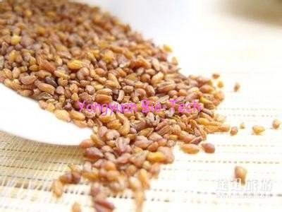 Buckwheat Extract, Total Isoflavone 30%, benifit diabetes, Shaanxi Yongyuan Bio-Tech