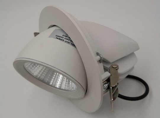 30w Cutting Size 105mm Adjustable Led Downlight  Diameter 105mm warm white 2600lm