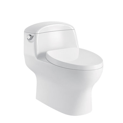 RZ-T6836 ONE PIECE TOILET