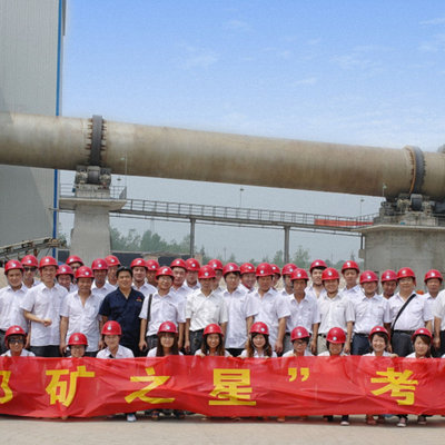 Good Price Cement Turnkey Project Vertical Shaft Cement Kiln Plant