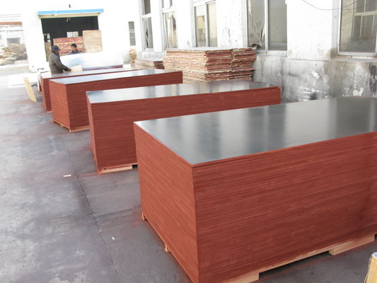 Film Faced Decorative Plywood Sheets 2 Times Hot Press High Strength Design