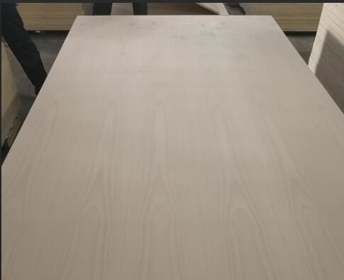 Custom Size Fancy Plywood Healthy P/C Alder Veneer For Green Building Construction