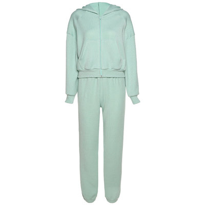 Hot sale 2020 two-piece solid color sports set casual gym wear hoodie long sleeve sportswear fall loose yogawear hoodie set