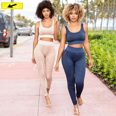 Fitness Yoga Set New Crop Top and Long Pant Athleisure Suit Gym Two Piece Set Sportswear