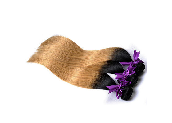 Los paquetes brasileños rectos de las extensiones del pelo del cabello humano 3Pcs de Ombre con el pelo del color 1B27 del cierre tejen