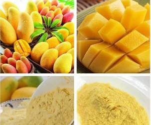 Mango Extract  Mangiferin 95%（HPLC）