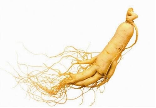 Ginseng P.E、ginsenoside≥80%