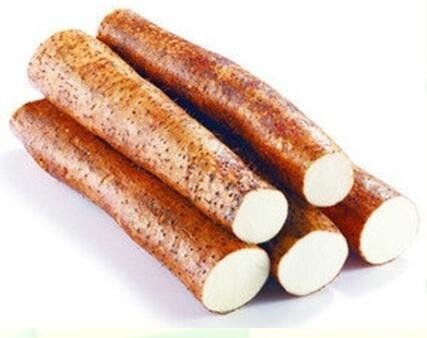 Wild Yam P. E.