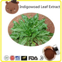 Indigowoad Leaf Extract natural colorant