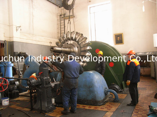 16MW 300m Head 1.6m³/s Pelton Hydro Turbine Runner Water Power Turbine