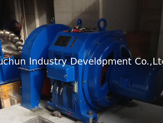 Single Nozzle Small Pelton Turbine Hydro Electric Generators 250kW