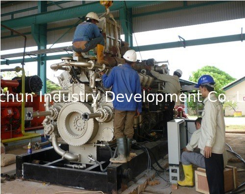 1000kw Natural Gas Powered Generators, Forced Water Cooling Natural Gas Genset
