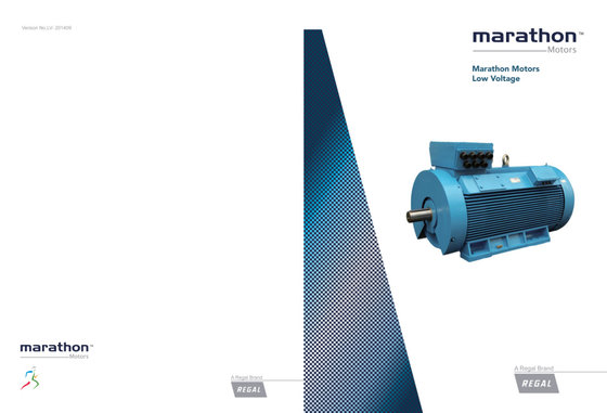 ABB, SIEMENS, WEG, TECO, MATATHON, ATT, BROOK,  Three phase motor