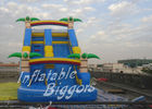 Waterproof PVC Dual Inflatable Twister Water Park Slide , Inflatable Swimming Pool