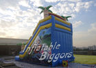 Outdoor Forest Winflatable Water Slide Promotion For Kids Birthday Party